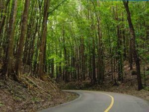 100% Affordable Bohol Countryside Tour | Kagana Tours